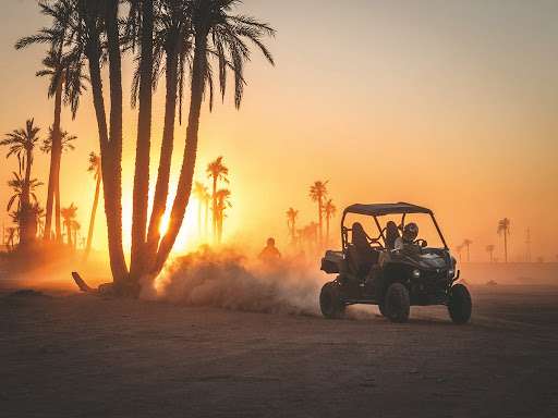 Buggy Tour at the Palm Grove of Marrakech | Colored Morocco Tours & Travel